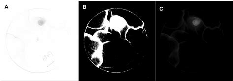 Example Of A Rgb Digital Image B Binary Image Of Color Download Scientific Diagram