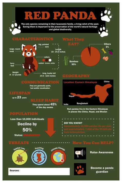 Red Panda Education Poster Design How To Help Red Pandas Red Panda