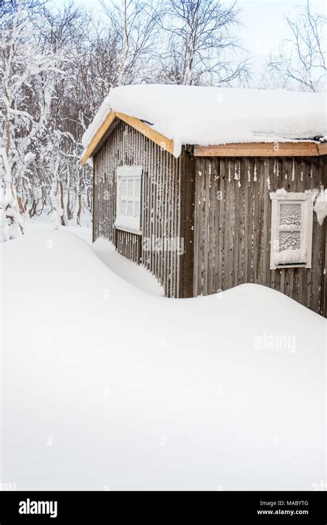 Snow Covered Cabin In A Sami Village In Swedish Lapland Stock Photo Alamy