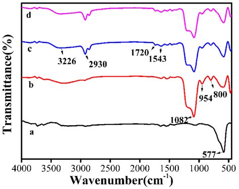 Polymers Free Full Text Synthesis And Properties Of Cefixime Core Shell Magnetic Nano