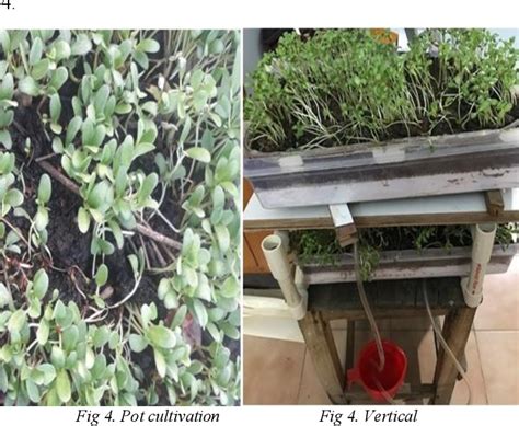 Figure 4 From Iot Based Smart Farming Semantic Scholar