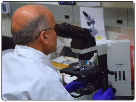 Rabies Laboratory Services Arkansas Department Of Health