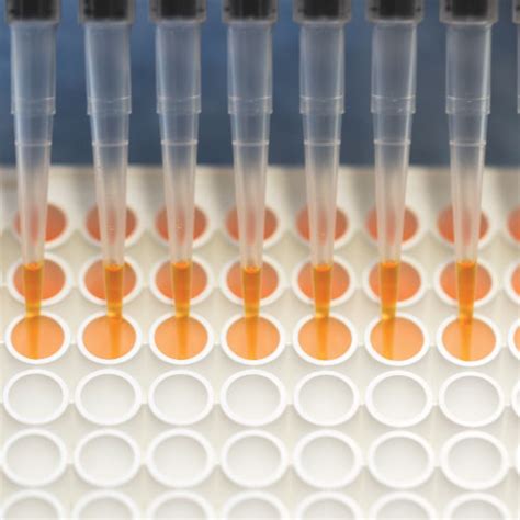 Undergraduate CAS Bioinformatics