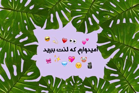 کاربر های فسیل شده تستچی