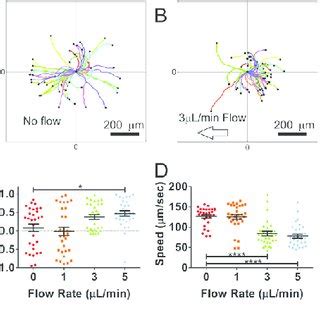 Sperm Swim Against The Flow A B Trajectories N Of Sperm Swimming Download Scientific