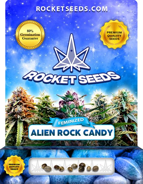 Alien Rock Candy Strain Feminized Seeds Rocket Seeds