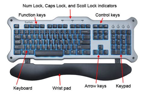 Input Devices Of Computer