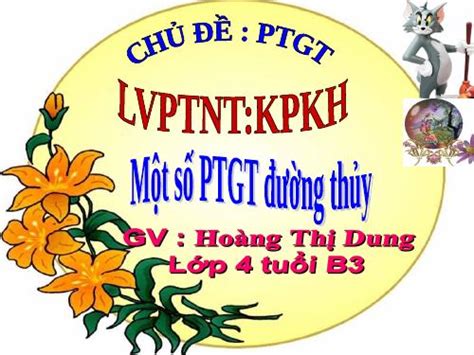 Trò Chuyện Về Các Loại Ptgt đường Thủy Khám Phá Khoa Học Hoàng Thị