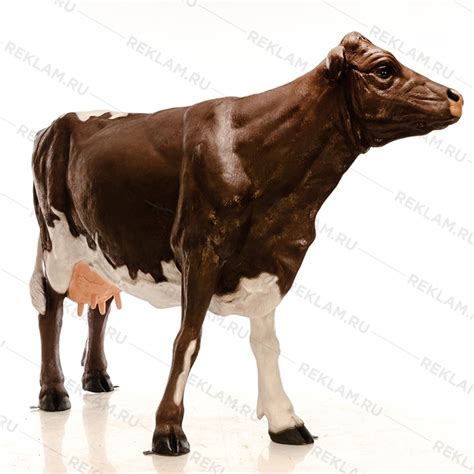 Объемная фигура Корова симментальской породы купить недорого | Цены ...