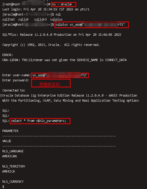 Oracle数据库sqlplus命令行执行sql语句时，语句有中文报错解决 腾讯云开发者社区 腾讯云