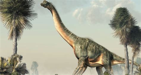 The Fascinating History Of The Jurassic Period