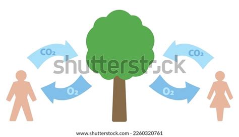 Oxygen Carbon Dioxide Exchange Images Stock Photos D Objects Vectors Shutterstock