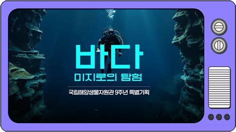 동서양 바다의 역사를 모두 볼 수 있는 곳이 있다고 해양생물 러버들을 사로잡을 교류전시 국립해양생물자원관 9주년 특별기획