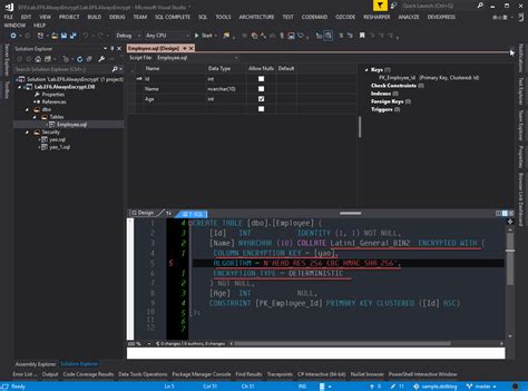 [ef6] entity framework 6 連接 sql server 2016 always encrypted 余小章 大內殿堂 點部落