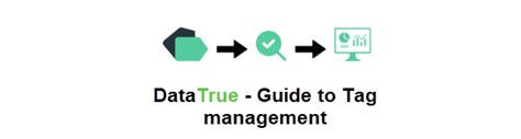 Enterprise Tag Management Guide Best Solutions Datatrue