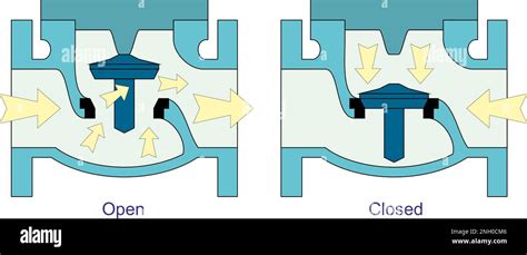 Lift Check Valve Actions Stock Vector Image Art Alamy