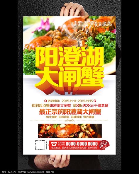 阳澄湖大闸蟹促销海报设计图片下载红动中国