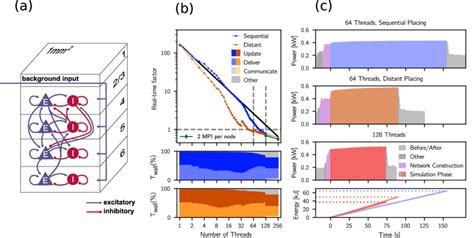 strong scaling of a cortical microcircuit model on a conventional