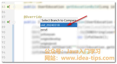 IDEA如何对比不同分支某个文件的差异 知乎