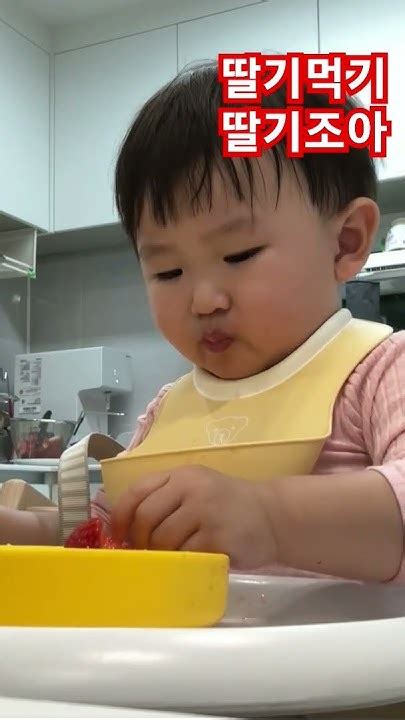 딸기먹기 Youtube
