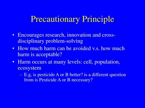 Definition Of The Precautionary Principle Definitionjull