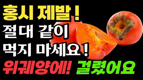 홍시와 상극인 음식 Top3 절대로 이렇게 먹지마세요 홍시 이렇게 먹어야 위 안상합니다 소화불량 해결해주고 피 맑게하는 홍시 효능 건강정보 실제 연구 기반