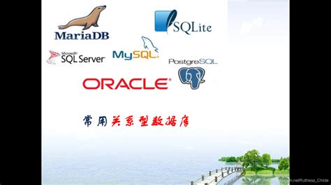 大数据应用技术实验报告五 nosql nosql数据库应用大作业 csdn博客