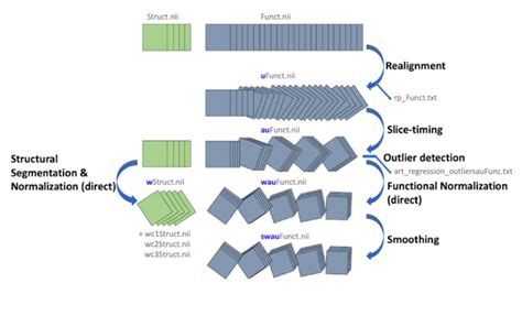schematic illustration of default minimal preprocessing pipeline in