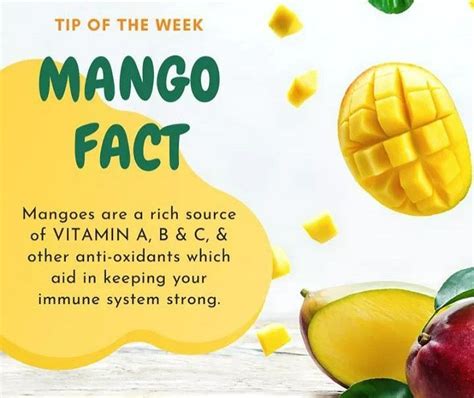 Mango Fact Mango Nutrition Mango Nutrition Facts Mango Vitamins