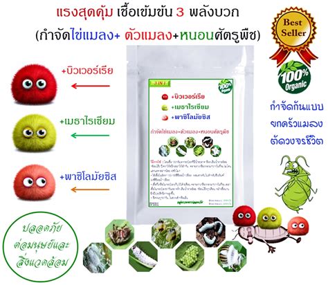 บิวเวอร์เรีย เมธาไรเซียม พาซิโลมัยหัวเชื้อรา แบบผง เข้มข้นรวม3แรงบวก กำจัดไข่แมลงตัวแมลงหนอน