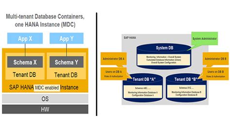 Virtualization And Multitenancy For Sap Hana