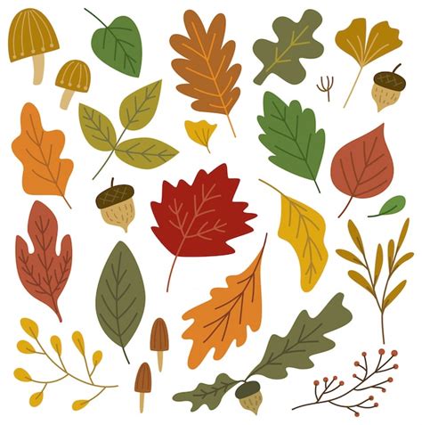 Set Of Autumn Leaves Design Element Premium Vector