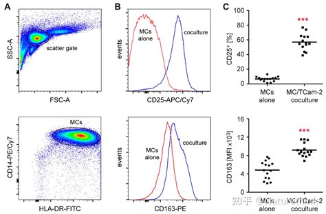 体外模型揭示了免疫细胞亚型与人睾丸精原细胞瘤细胞系tcam 2之间的相互作用 知乎