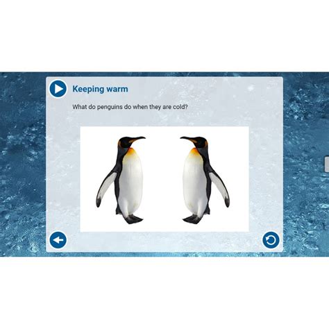 Pre Coding With Penguins Software For Large Screens And Tablets