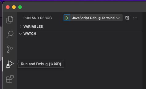 Javascript Debug Terminal Doesn T Launch From Run And Debug Dropdown Issue Microsoft