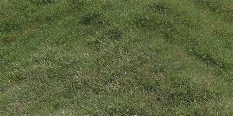 Grass Set 1 Blender Market Grass Set 1 Blender Market