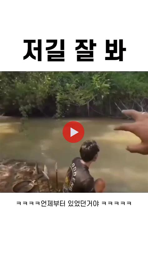 저기 뭐가있어 유머 움짤 이슈 에펨코리아