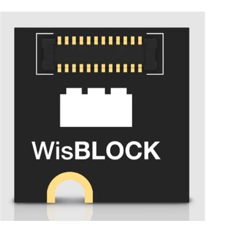 Buy Rak1905 Wisblock 9dof Motion Sensor Tdk Mpu9250 Online In India