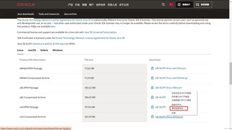 linux中配置tomcat服务器、jdk开发环境、设置环境变量 linux tomcat设置环境变量 csdn博客