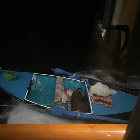 Ms Royal Ruby Ii All You Need To Know Before You Go With Photos