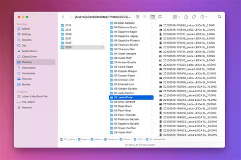 The Best Way To Organize Your Photography Files Framebird