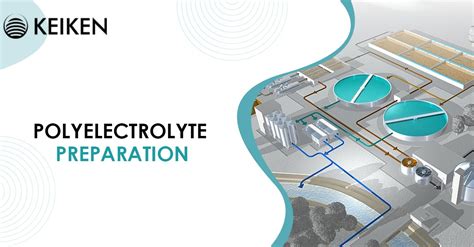 Polyelectrolyte Preparation