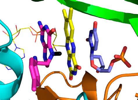 Splenectomy Antibiotic Prophylaxis