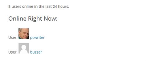 GitHub Dernerd User Activity