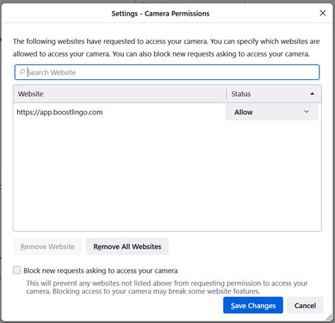 Microphone And Camera Access Boostlingo