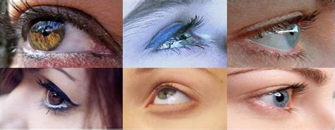 Iris Detection Sample Test Cases In Any Direction Download Scientific Diagram