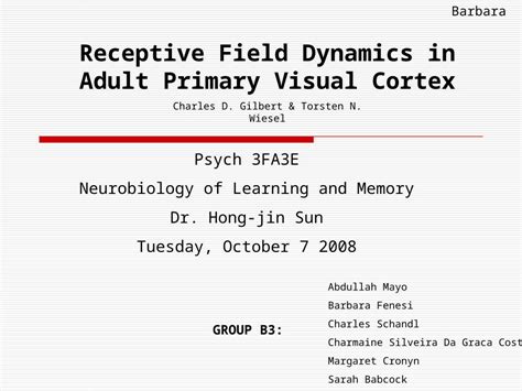 ppt receptive field dynamics in adult primary visual cortex charles d