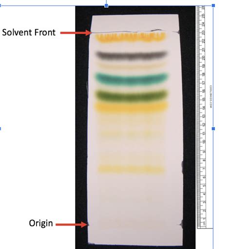 Solved Fill The Chart Using This Picture Add These