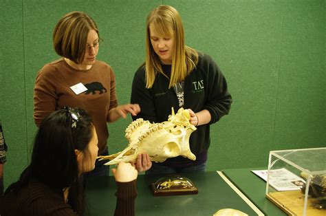 Staging The Classroom On Behance