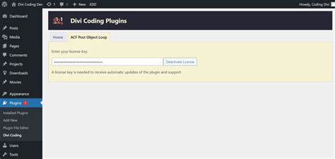 Plugin Activation Divi Coding Store